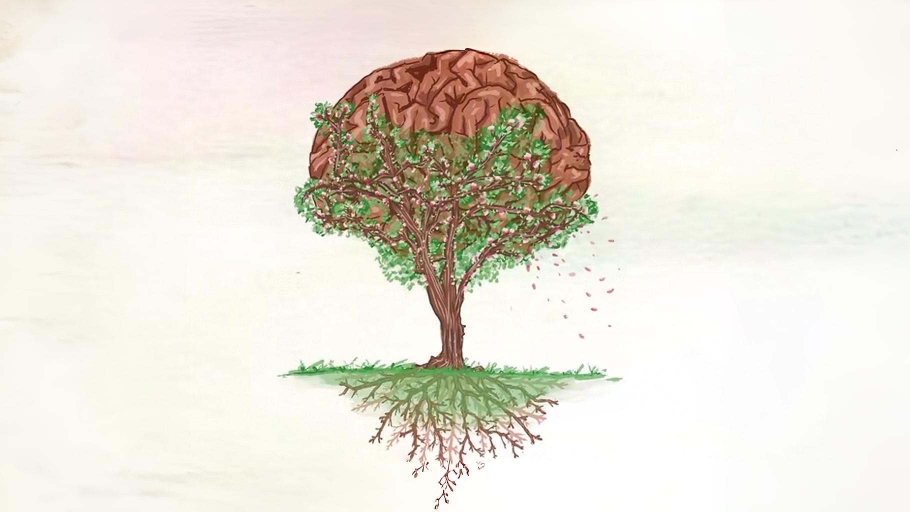 Why Dr Ishani Rao Says Choosing Compassion: Surviving Burnout in Vegan ...